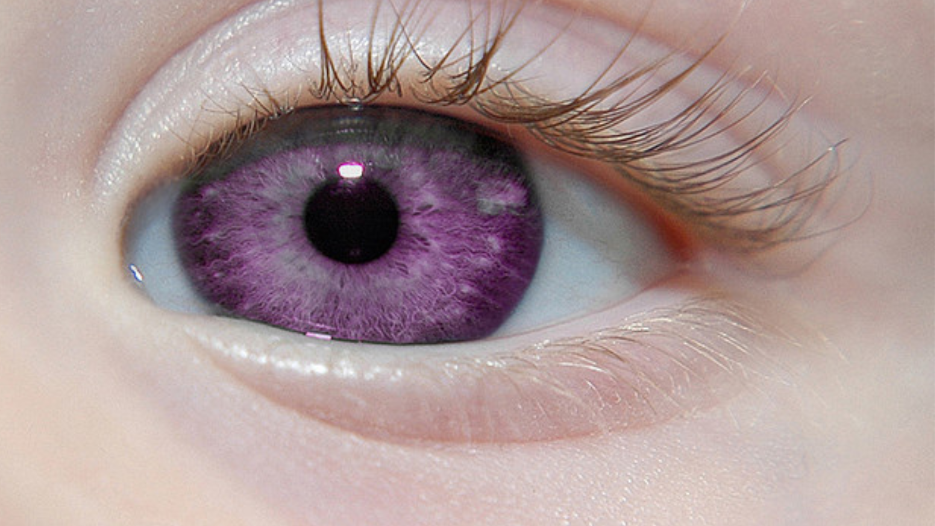 Do castanho ao violeta: Conheça todas as cores de olhos que existem no ...